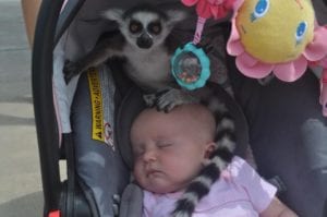 75 Hilarious parenting fails captured at just the right moment