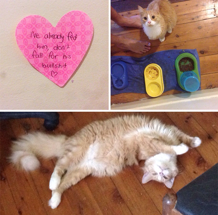 75 unconventional ‘love notes’ written by partners with a sense of humor