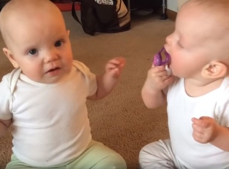 Twin Baby Girls Battle Over Purple Pacifier