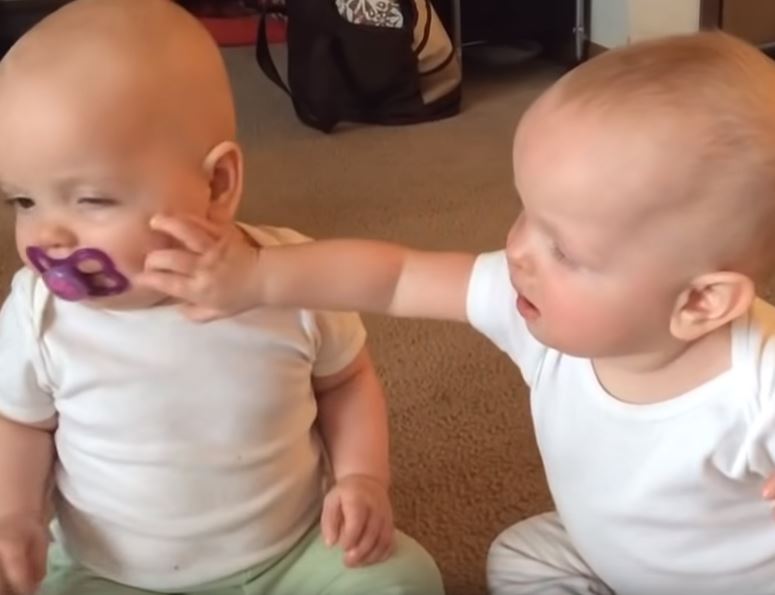 Twin Baby Girls Battle Over Purple Pacifier