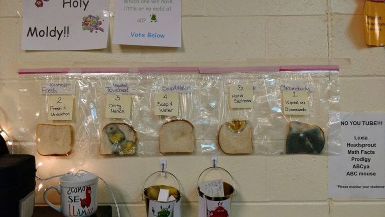 Elementary school kids experiment with white bread -get important ...