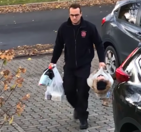 Dad Solves Toddler’s Refusal To Walk In Calm And Hilarious Manner