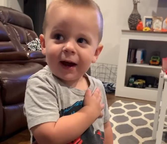 Toddler’s Pledge Of Allegiance Is Undeniably Adorable