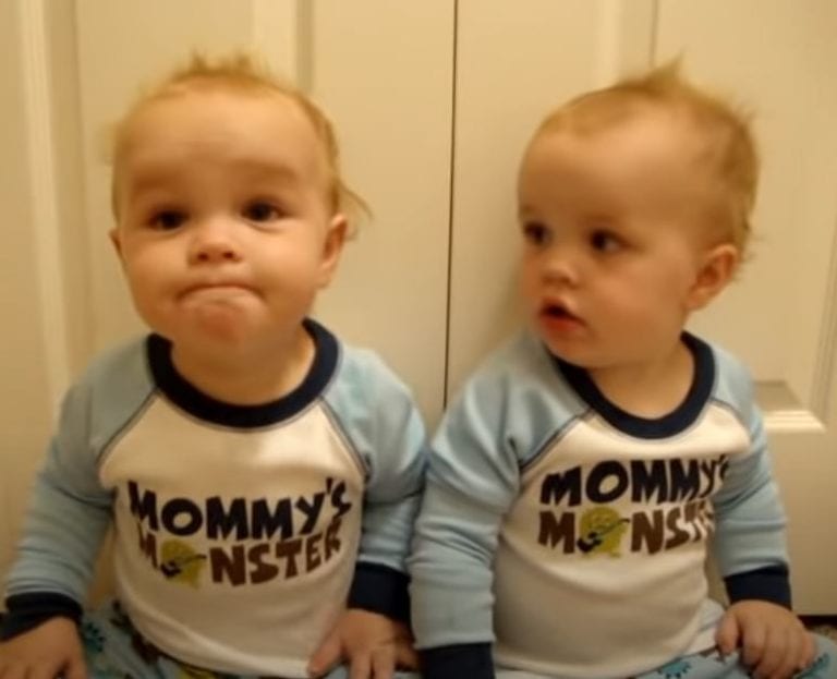 15-Month-Old Twins Show Mommy Their Sign Language
