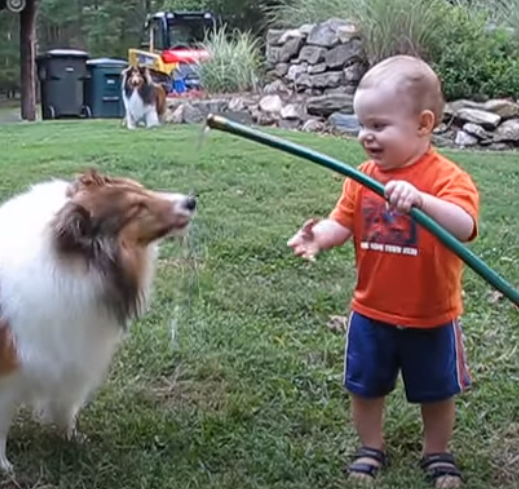 Baby And Dog Have Adorable Interaction With Water Hose