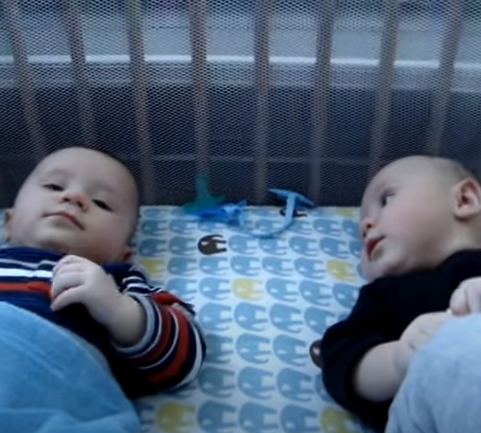 Twin Boys Carry On Adorable Conversation