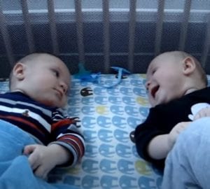 Twin Boys Carry On Adorable Conversation