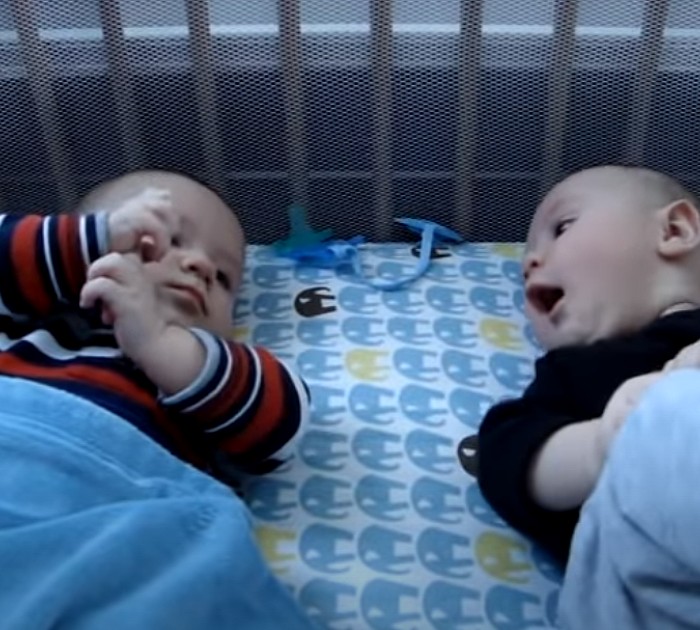 Twin Boys Carry On Adorable Conversation