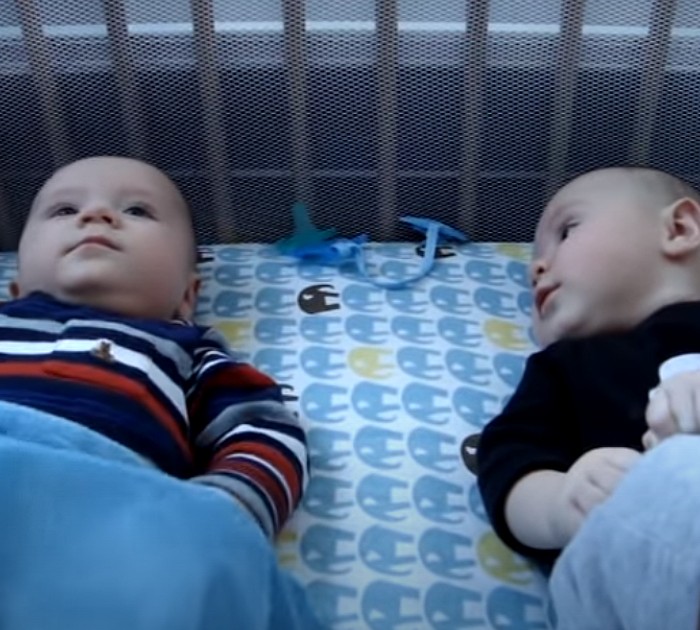 Twin Boys Carry On Adorable Conversation