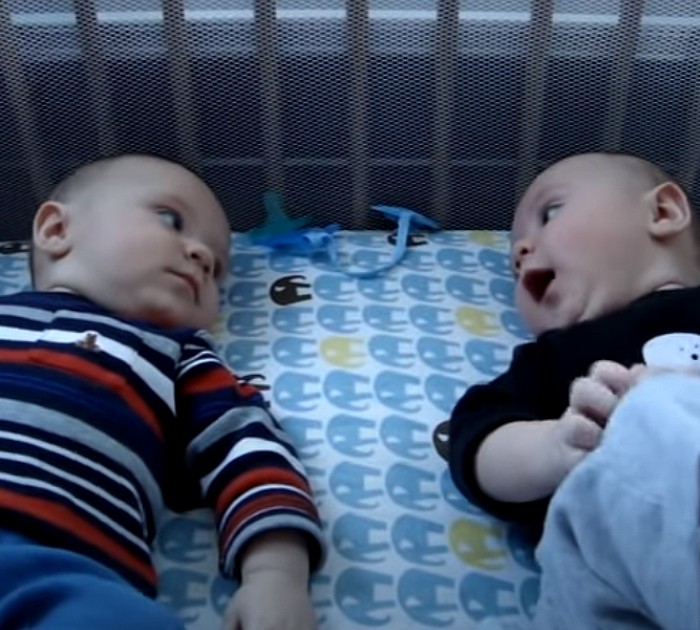 Twin Boys Carry On Adorable Conversation