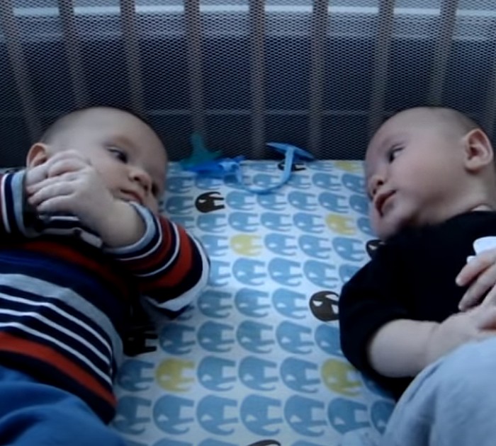 Twin Boys Carry On Adorable Conversation