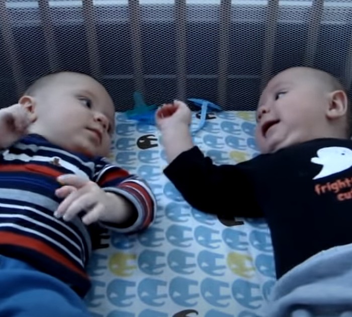 Twin Boys Carry On Adorable Conversation