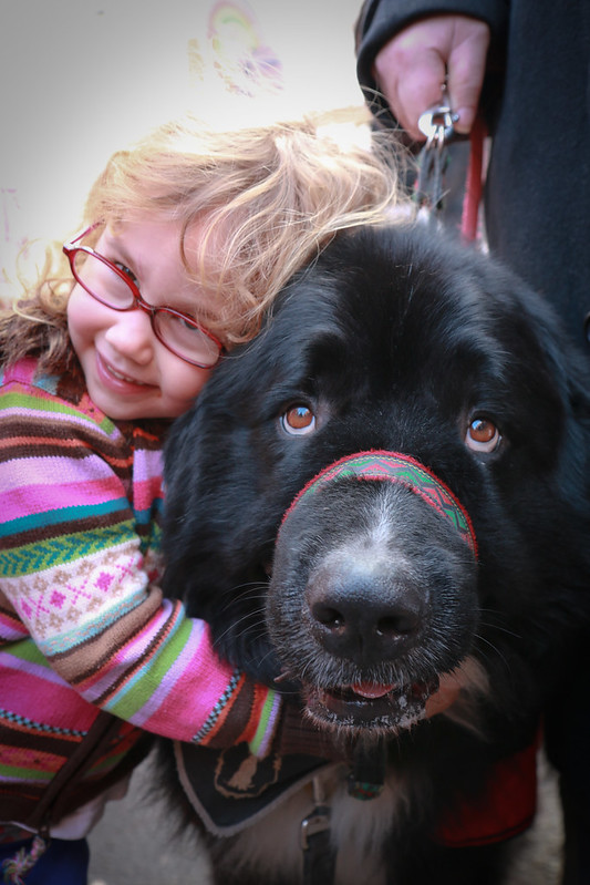 Lonely 8-year-old gets a puppy after his brothers move away