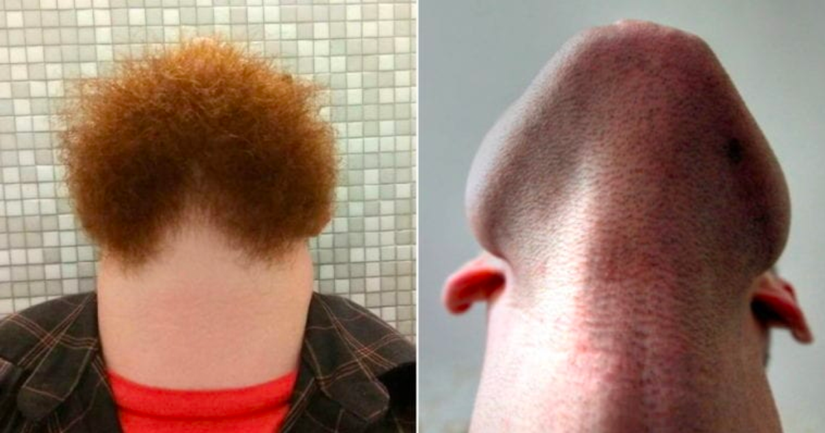 Photographer takes photos of bearded men from new angle, and results ...