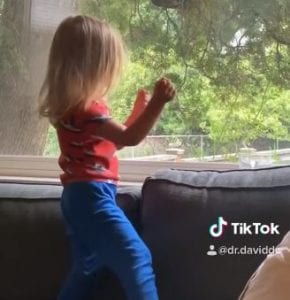 Little Girl Melts Hearts Waiting For Mailman’s Arrival Each Day
