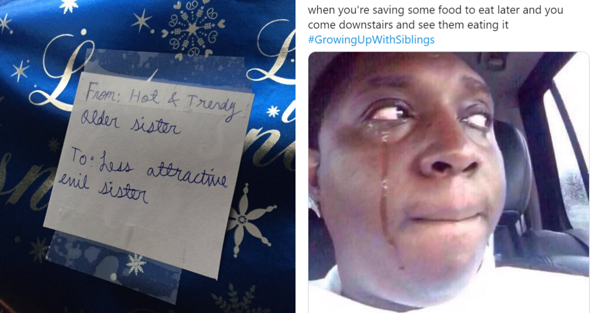40 photos that only make sense if you have siblings