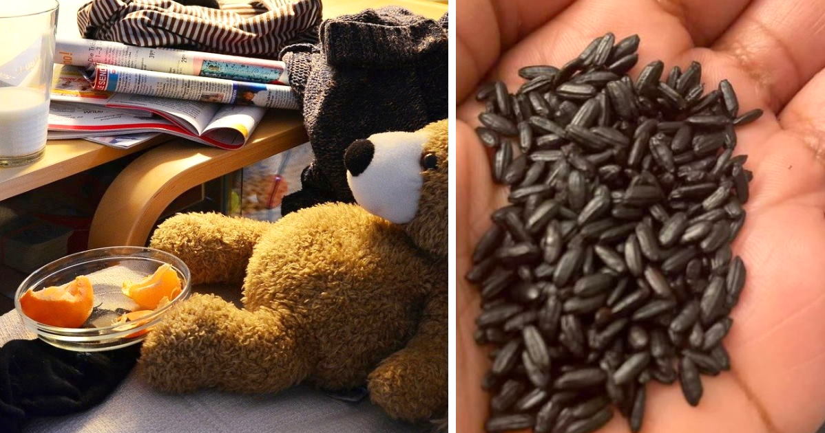 Dad’s Tired Of Teens Not Cleaning Room So Uses Brilliant Rice Trick