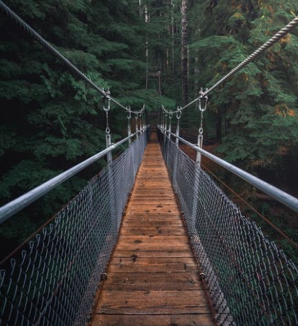 4-year-old takes plunge off 70-foot cliff as parents watch. Rescuers ...