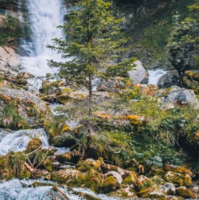 4-year-old takes plunge off 70-foot cliff as parents watch. Rescuers ...