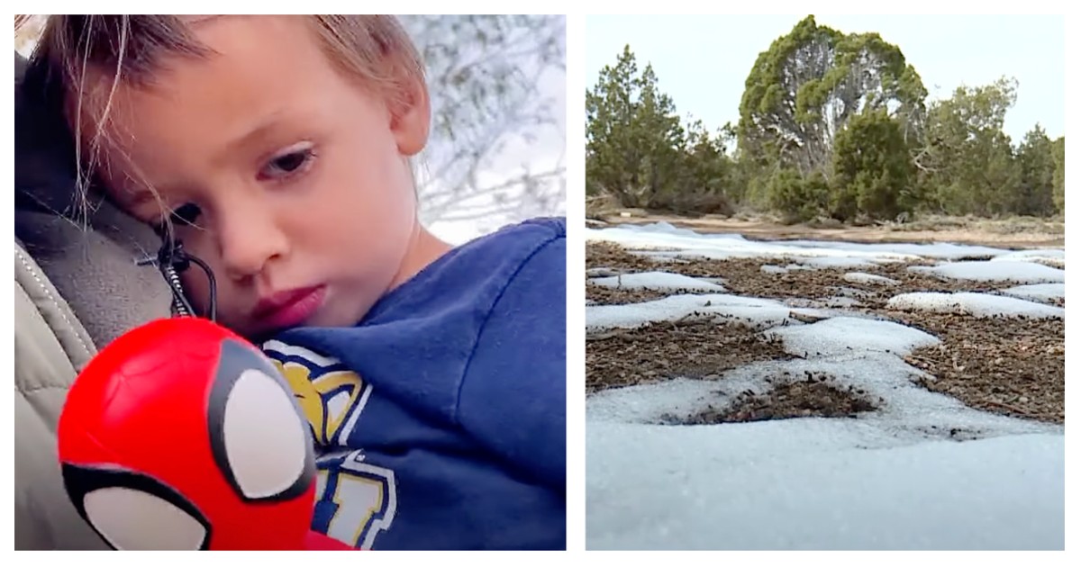 Missing 3-year-old boy lost in desert hears stranger’s voice yelling ...