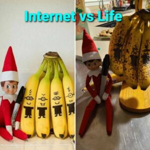 20+ Elf on the Shelf Fails That Are Hysterically Unfortunate