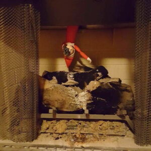 20+ Elf on the Shelf Fails That Are Hysterically Unfortunate