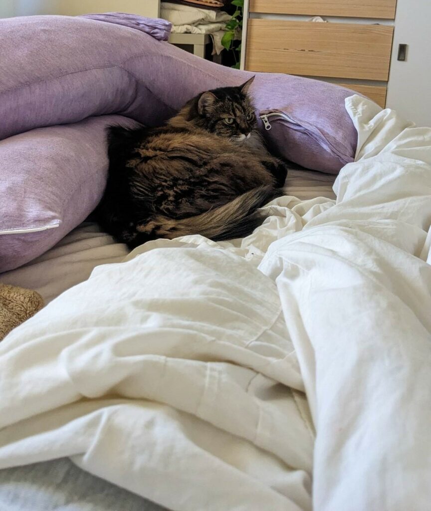 I Tried The Best Pregnancy Pillows For 1 Week Each – Here’s What ...