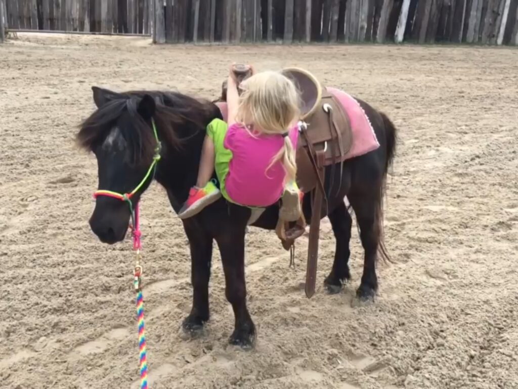 Little girl shows off incredible ‘trick-riding’ skills on pony