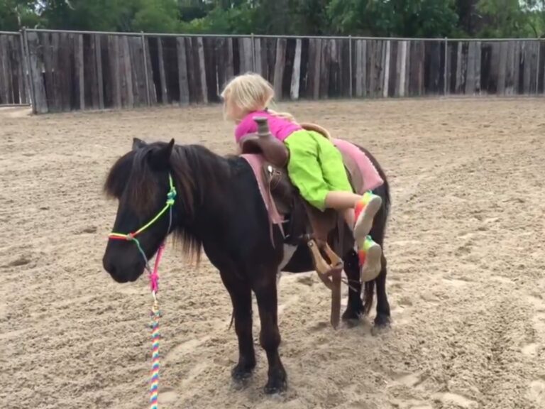 Little girl shows off incredible ‘trick-riding’ skills on pony
