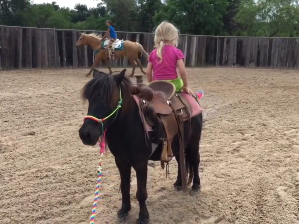 Little girl shows off incredible ‘trick-riding’ skills on pony