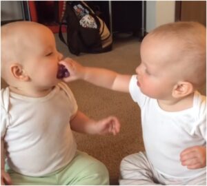 Twin baby girls go to war with each other over pacifier getting 832M views