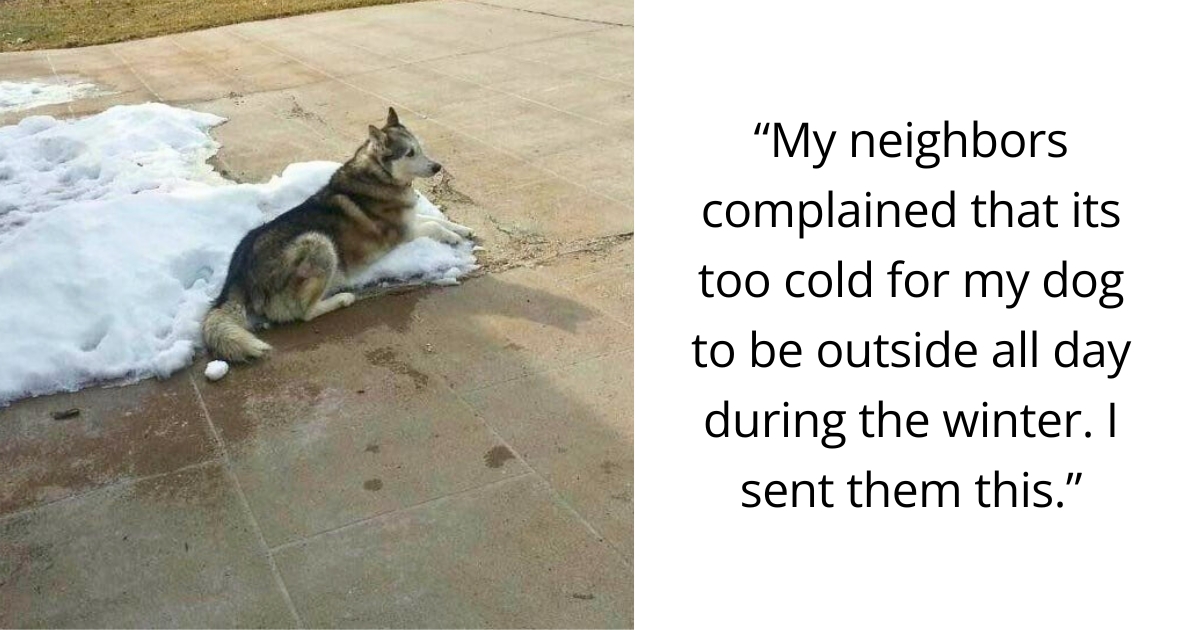 25+ Of The Funniest And Most Passive Aggressive Neighbor Messages Ever